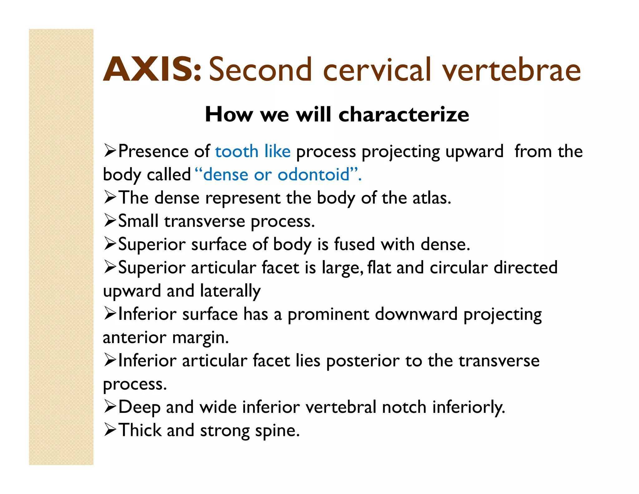 Atlanto occipital and atlanto axial joint | PDF