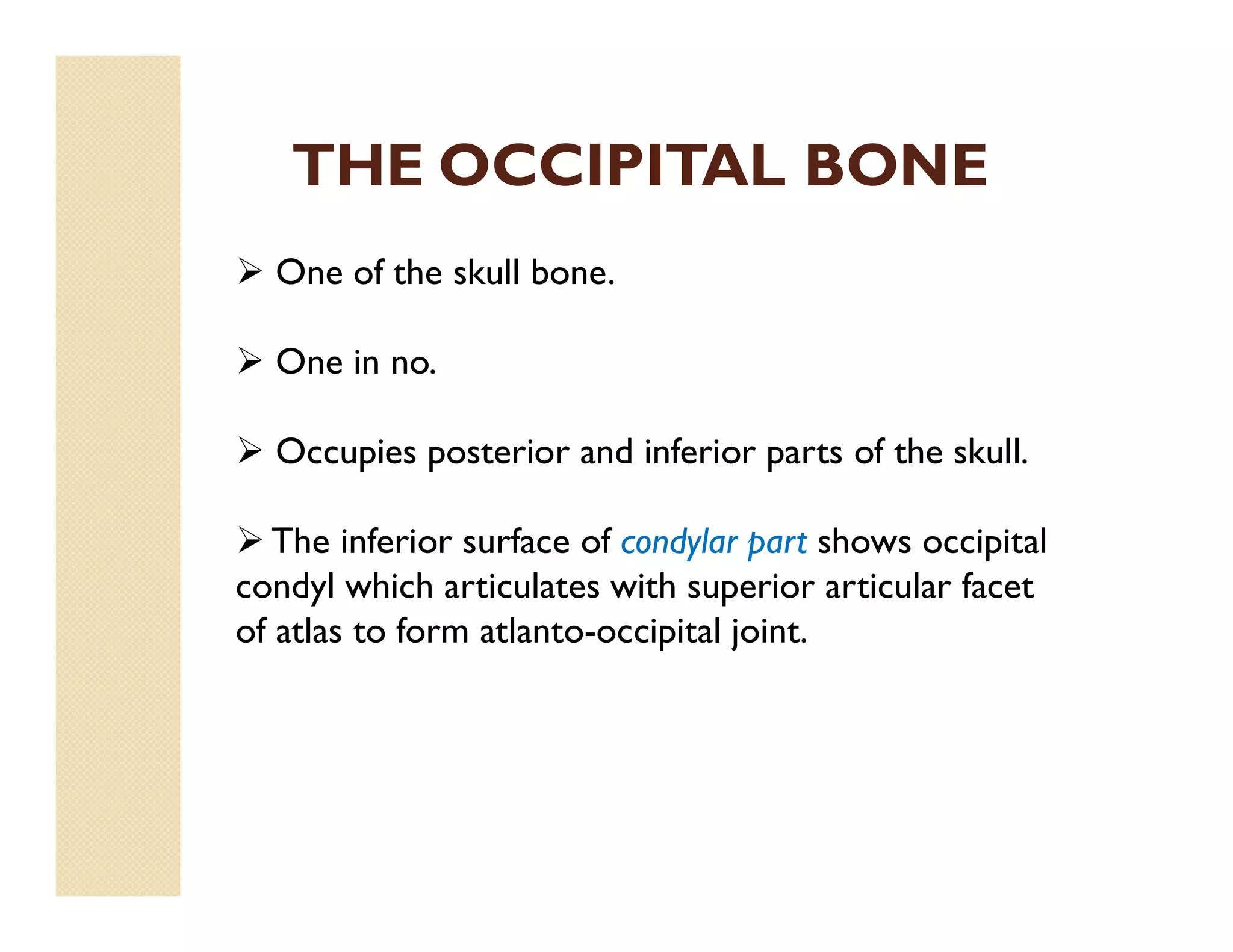 Atlanto occipital and atlanto axial joint | PDF