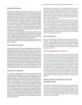 Atlas-những hội chứng đau đầu thường gặp TBRP.pdf