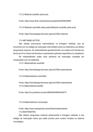 ATLAS DE HEMATOLOGIA - CELULA SANGUÍNEAS | PDF