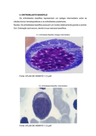 ATLAS DE HEMATOLOGIA - CELULA SANGUÍNEAS | PDF