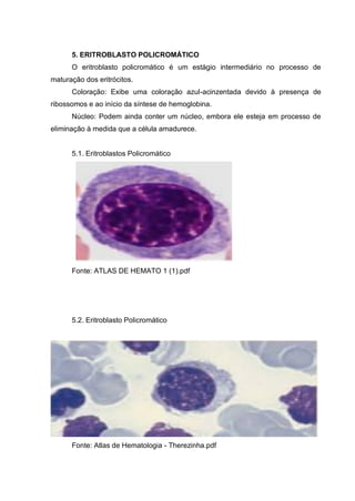 ATLAS DE HEMATOLOGIA - CELULA SANGUÍNEAS | PDF