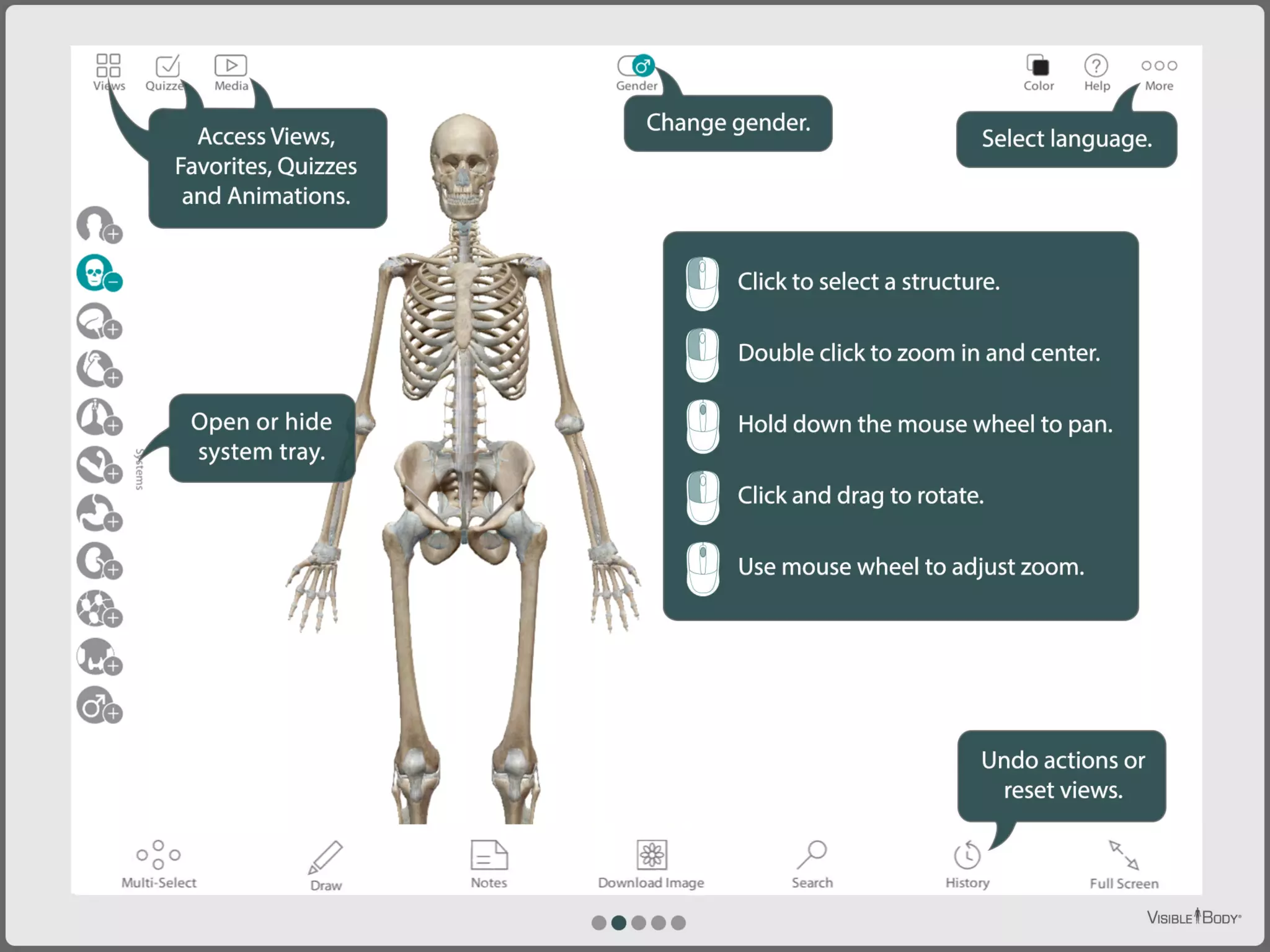 Human Anatomy Atlas 7 for Site Licenses | PDF