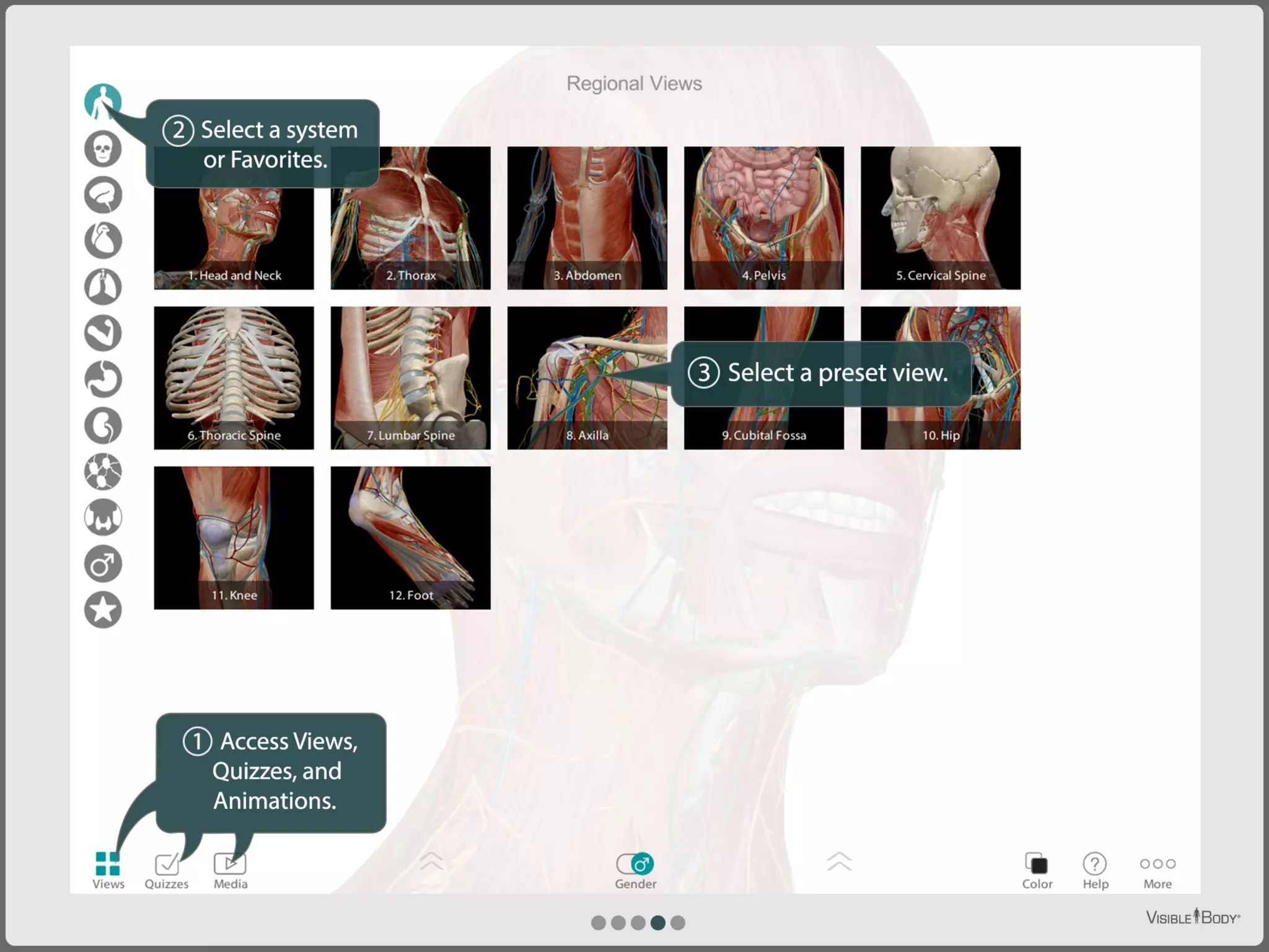 Human Anatomy Atlas 7 for Site Licenses | PDF