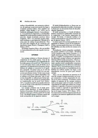 Manual Atlas analisis de orina - Graff.pdf