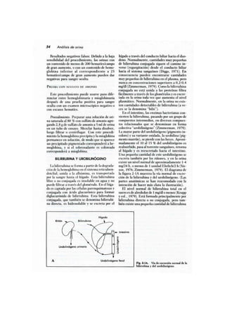 Manual Atlas analisis de orina - Graff.pdf
