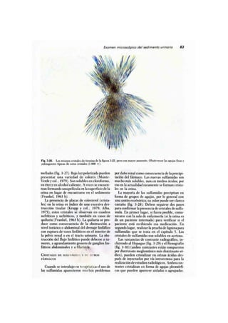 Manual Atlas analisis de orina - Graff.pdf