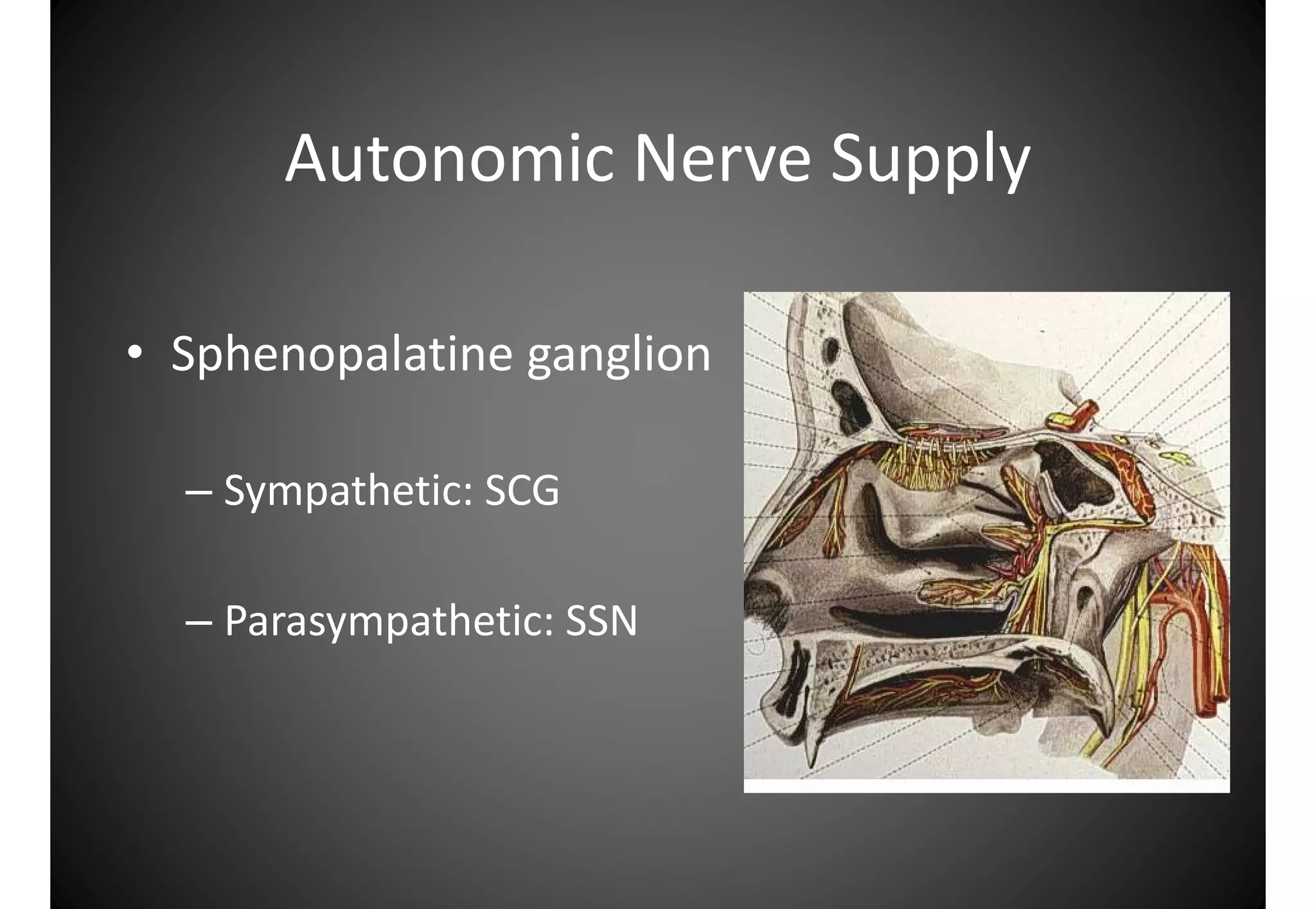 Atlas anatomy of the nose and paranasal sinuses | PDF