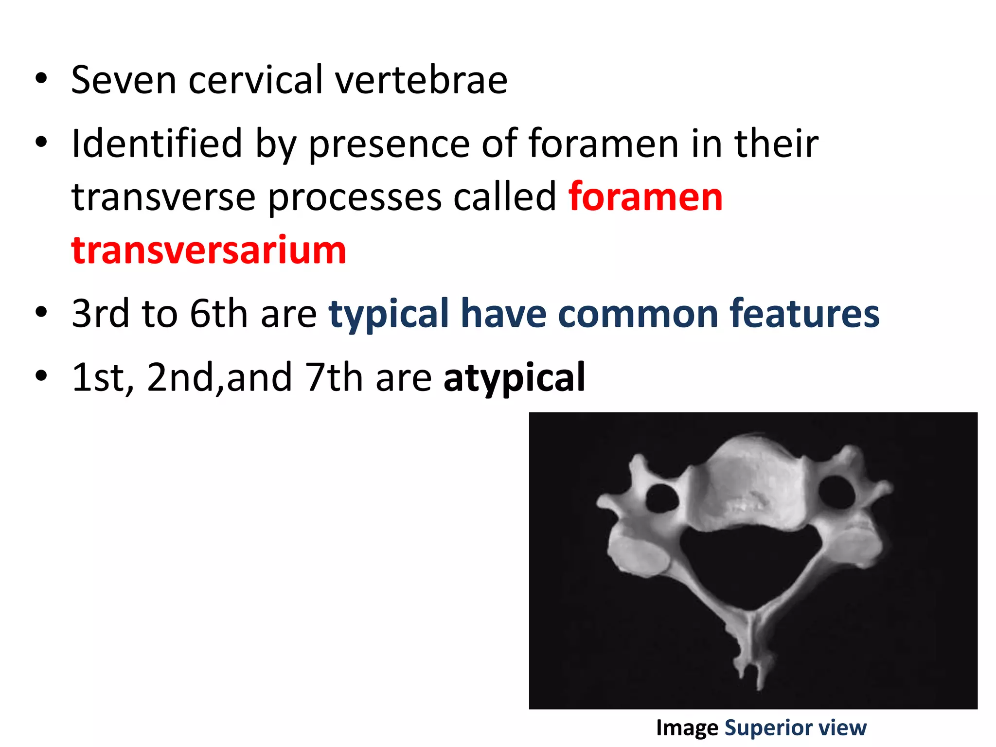 Atlas(C1) & Axis(C2) Vertebrae.pptx