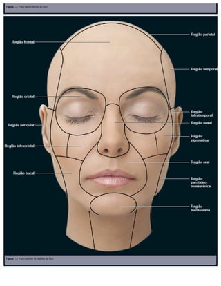 Atlas De Anatomia E Prenchimento Global Da Face-1.pdf