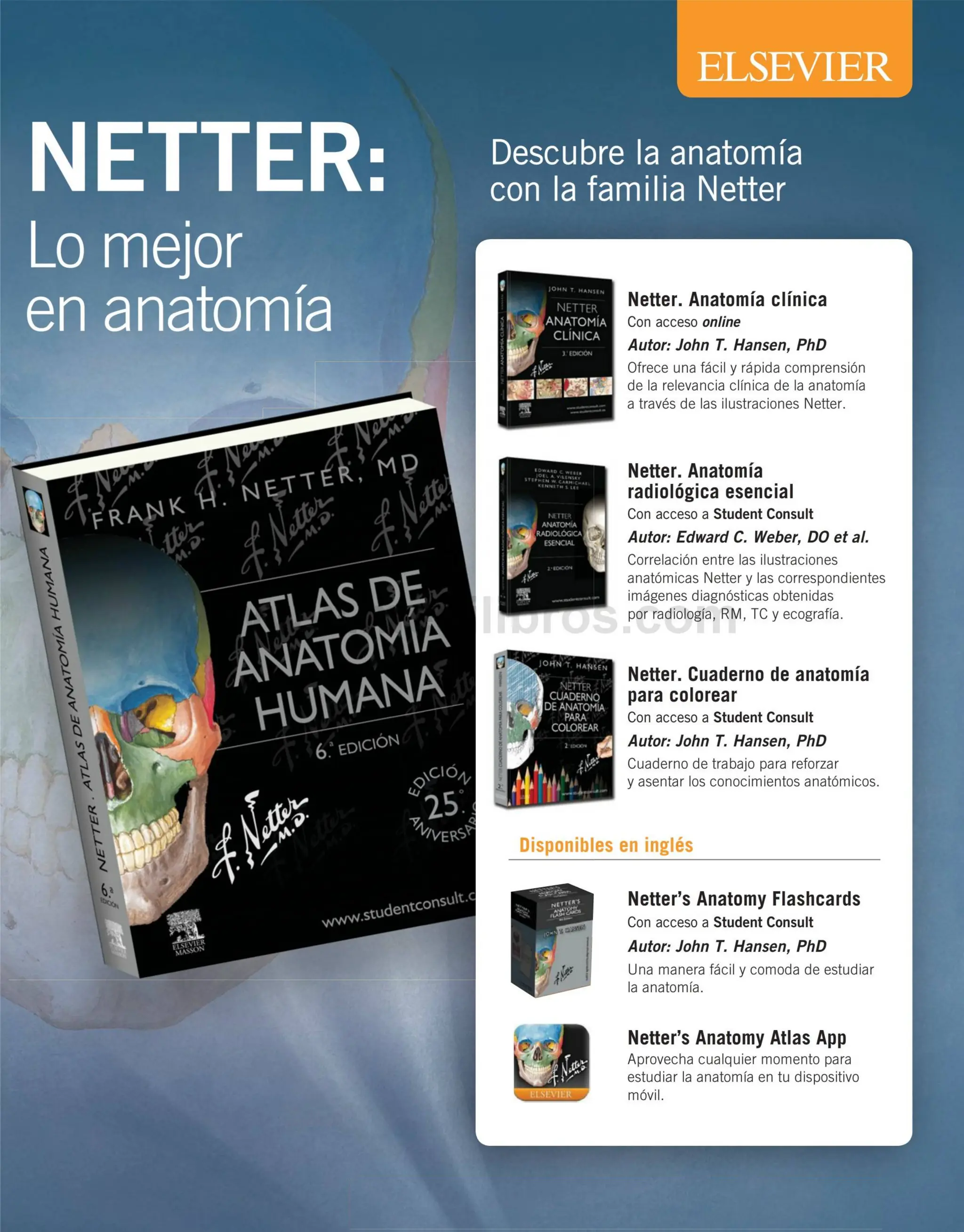 Atlas De Anatomia Humana Netter 6a Ed Pdf