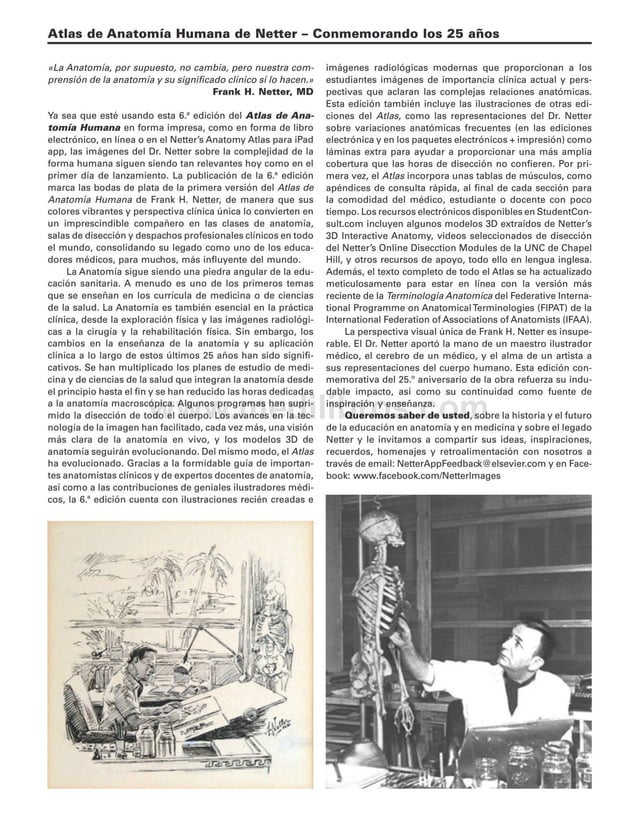 Atlas De Anatomia Humana Netter 6a Ed Pdf