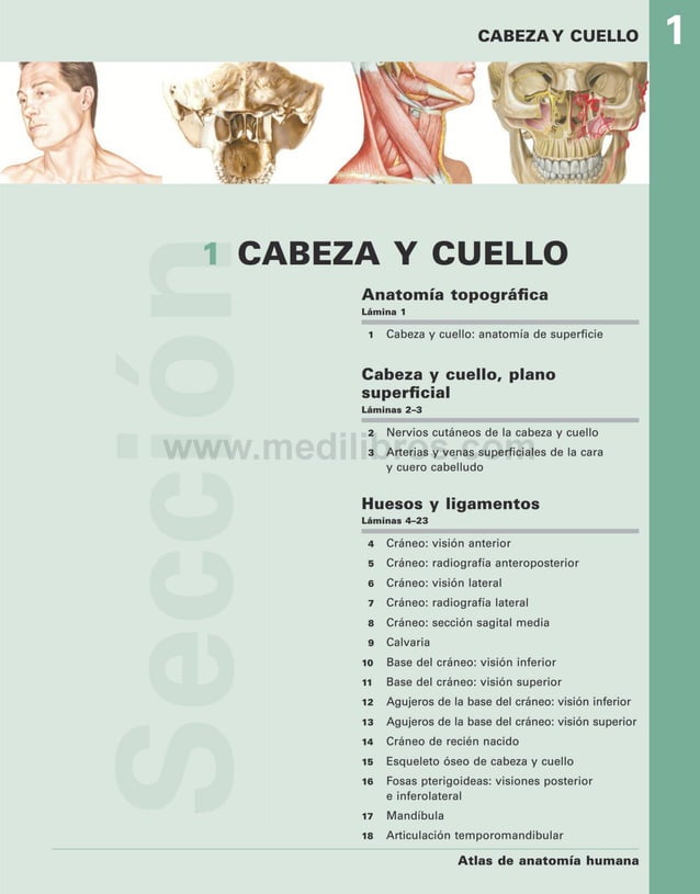 Atlas de Anatomia Humana Netter 6a ed.pdf