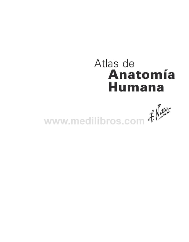 Atlas De Anatomia Humana Netter 6a Ed Pdf