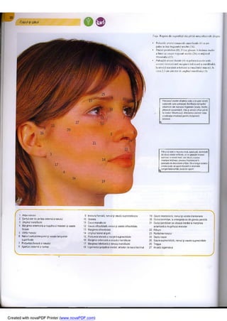 Atlas de anatomie | PDF