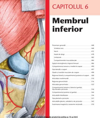 Atlas de anatomie grant pdf online | PDF