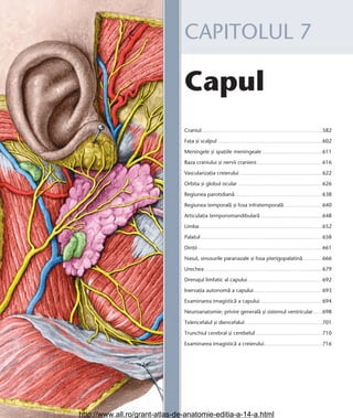 Atlas de anatomie grant pdf online | PDF