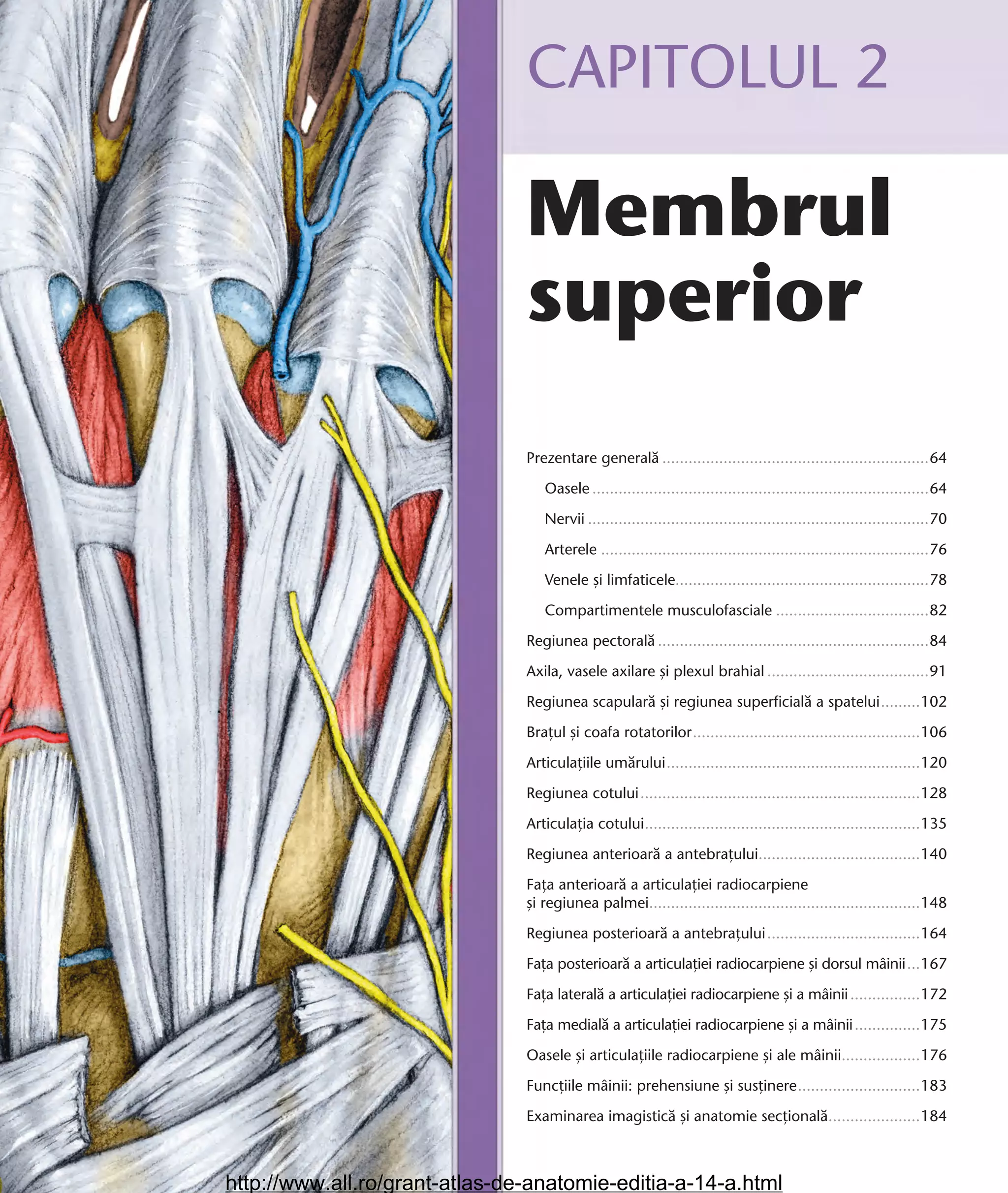 Atlas de anatomie grant pdf | PDF