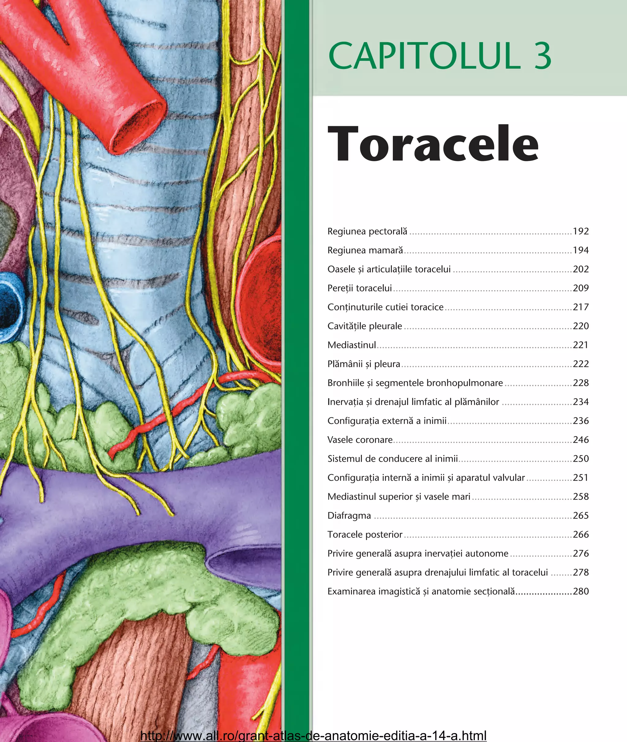Atlas de anatomie grant pdf | PDF