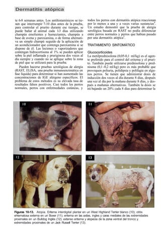 Atlas de enfermedaes de piel en perro y gato | PDF