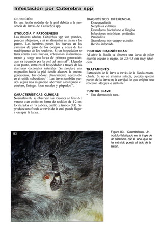 Atlas de enfermedaes de piel en perro y gato | PDF