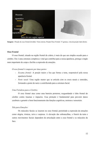 ATLAS DE FOTOGRAMETRIA FORENSE - EEPHCFMUSP .pdf