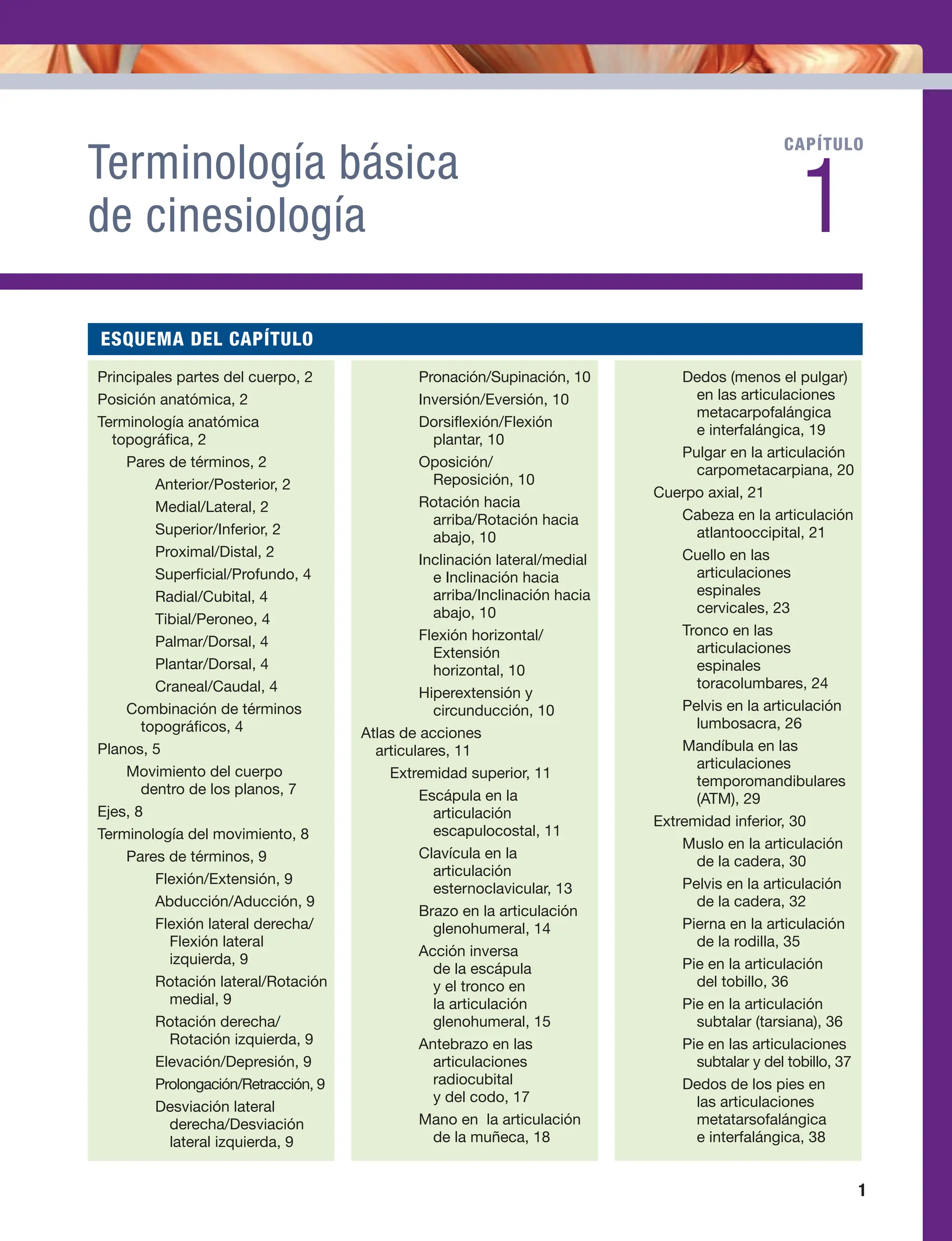 Atlas_de_Músculos,_Huesos_y_Referencias_Oseas_Muscolino_1ra_Ed.pdf