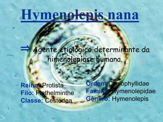 Atlas de Parasitologia Clínica | PPTX