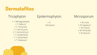 Atlas dermatofitos.pptx