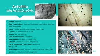 Atlas digital de_minerales_en_seccion_delgada | PDF