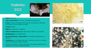 atlas_digital_de_minerales_en_seccion_delgada (1).pdf