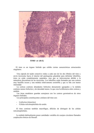 Histologia de los Organos | PDF
