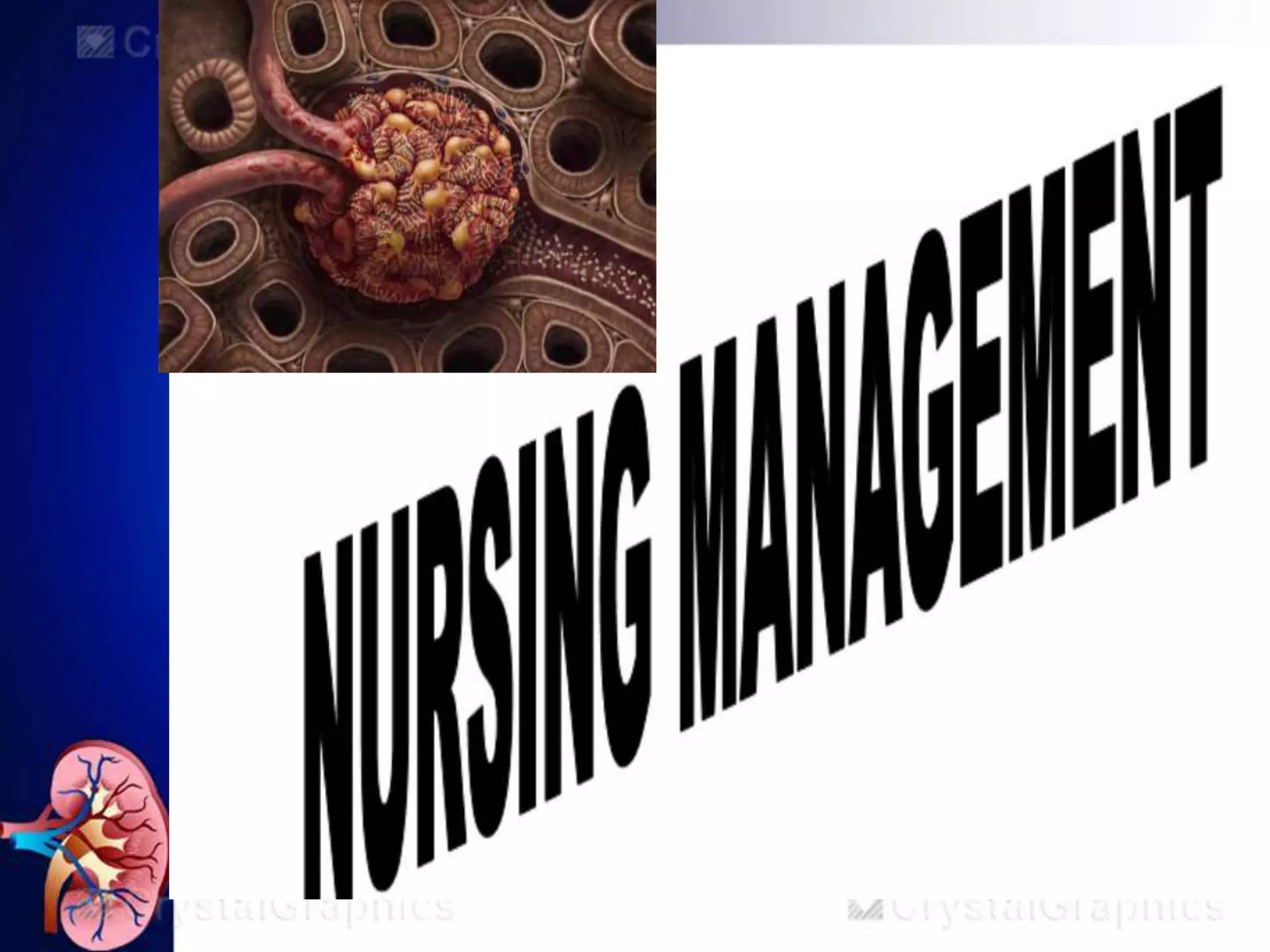 Nephrotic Syndrome | PPTX