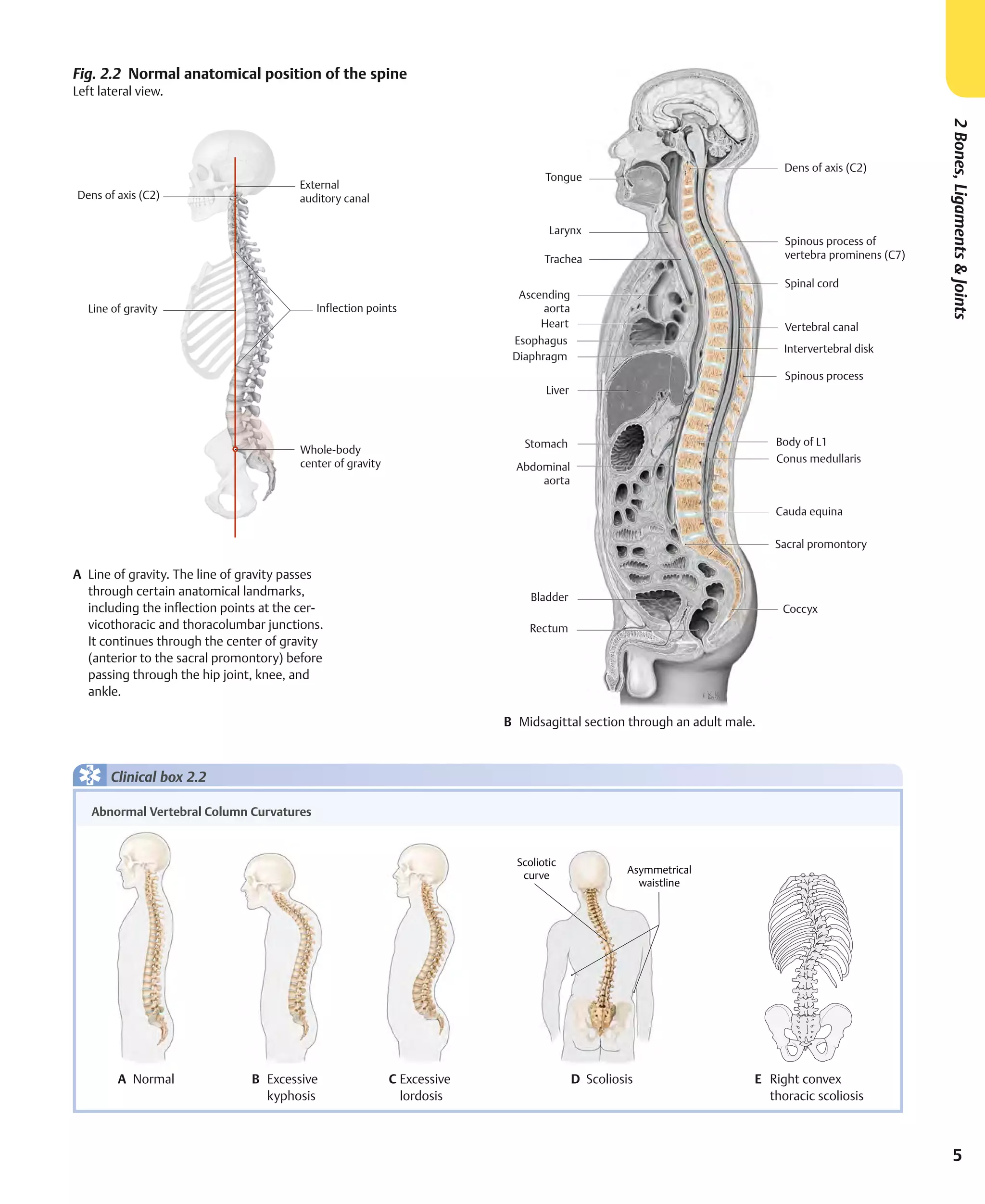 Atlas of Anatomy 4th Edition.Pdf
