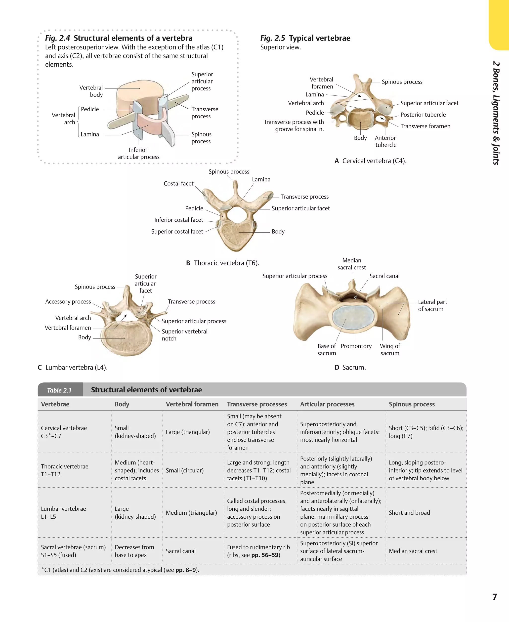Atlas of Anatomy 4th Edition.Pdf