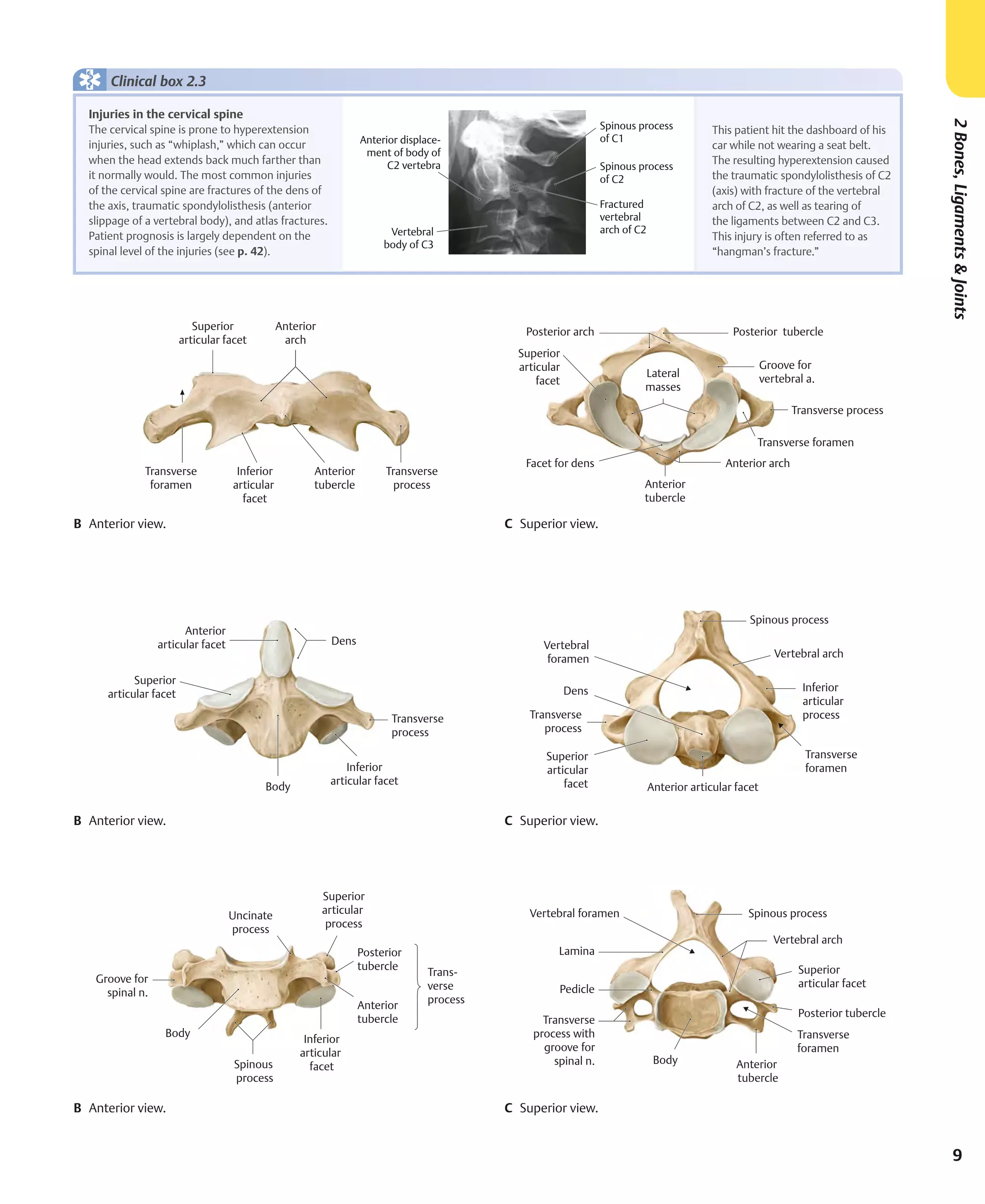 Atlas of Anatomy 4th Edition.Pdf