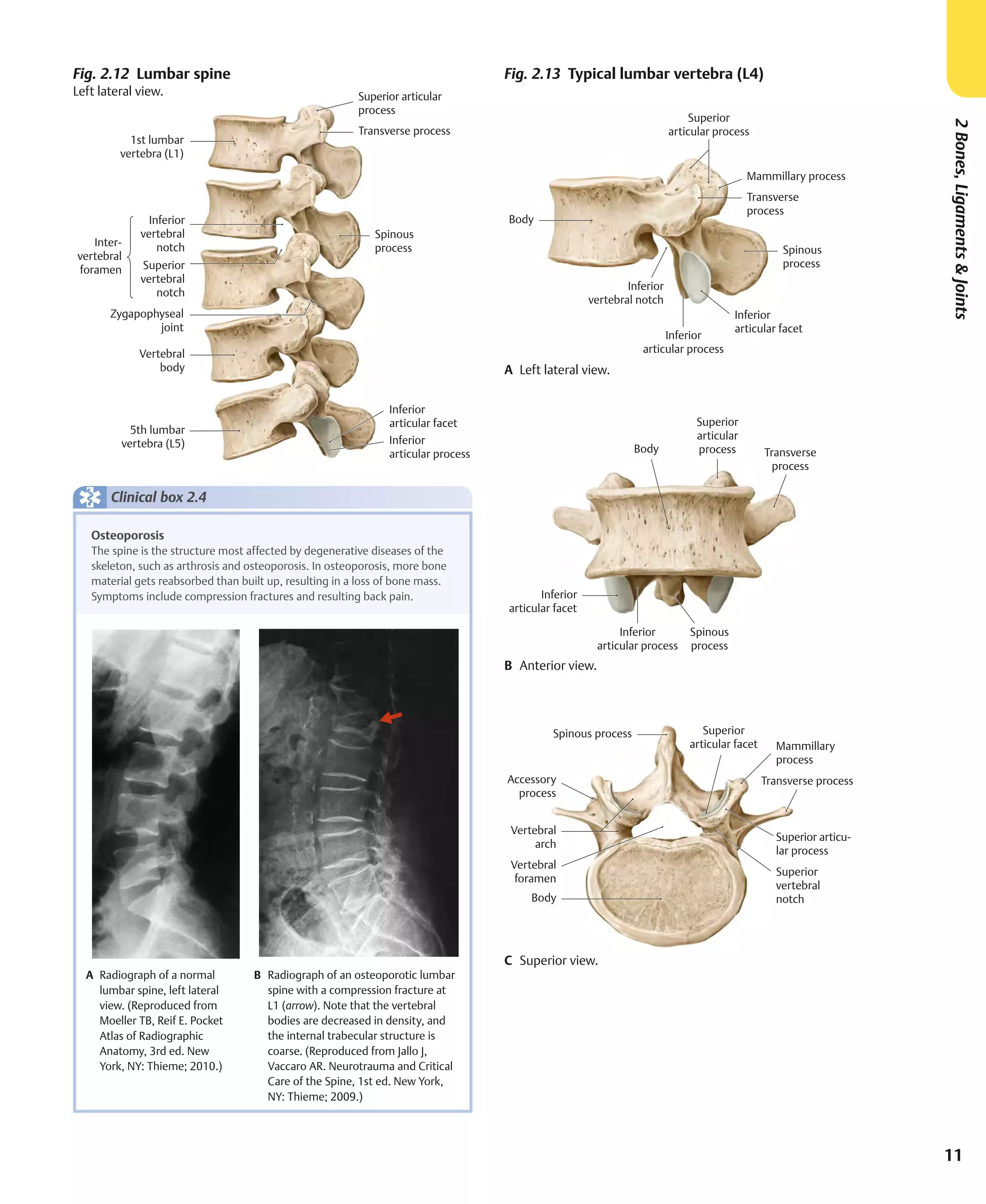 Atlas of Anatomy 4th Edition.Pdf