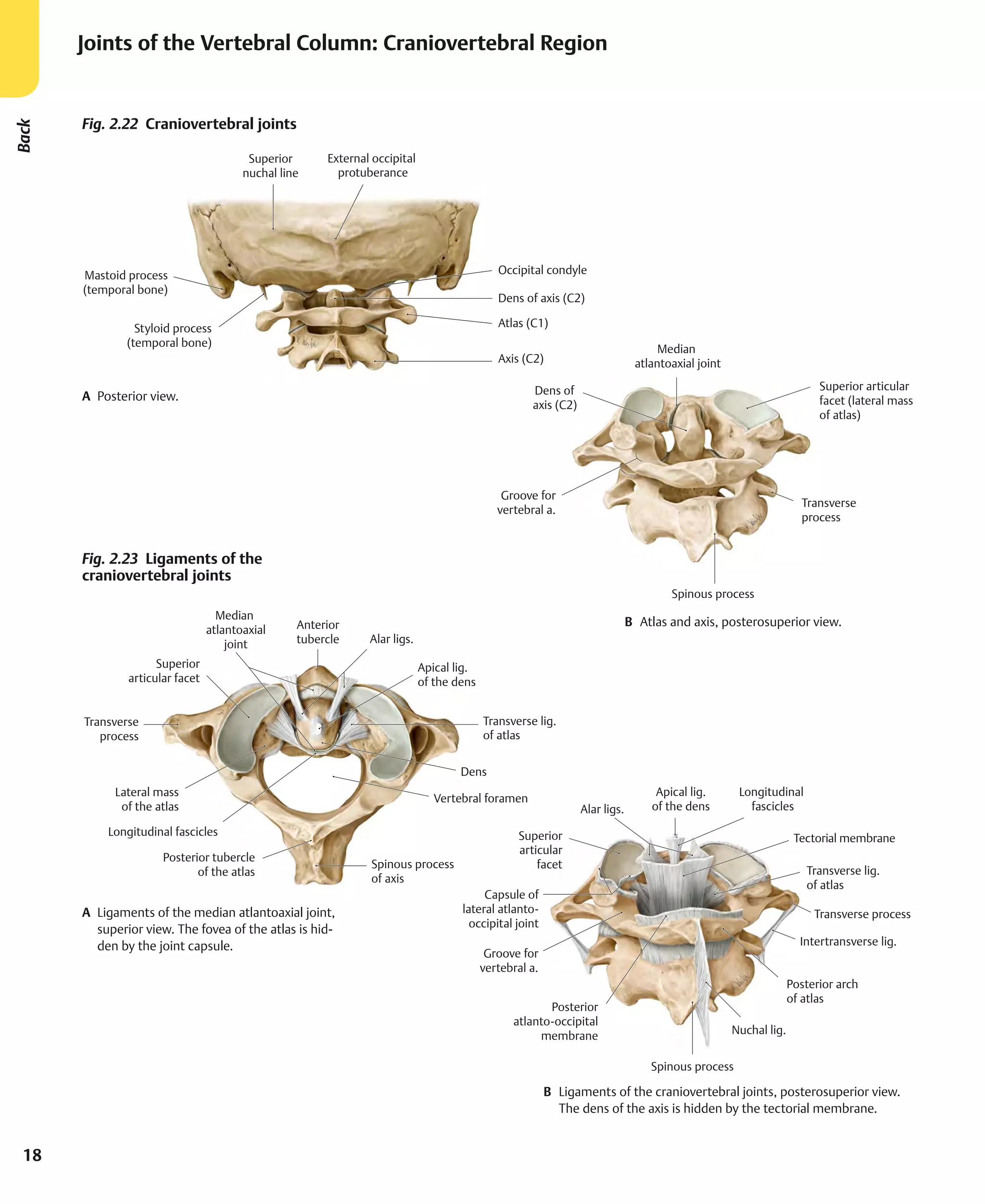 Atlas of Anatomy 4th Edition.Pdf