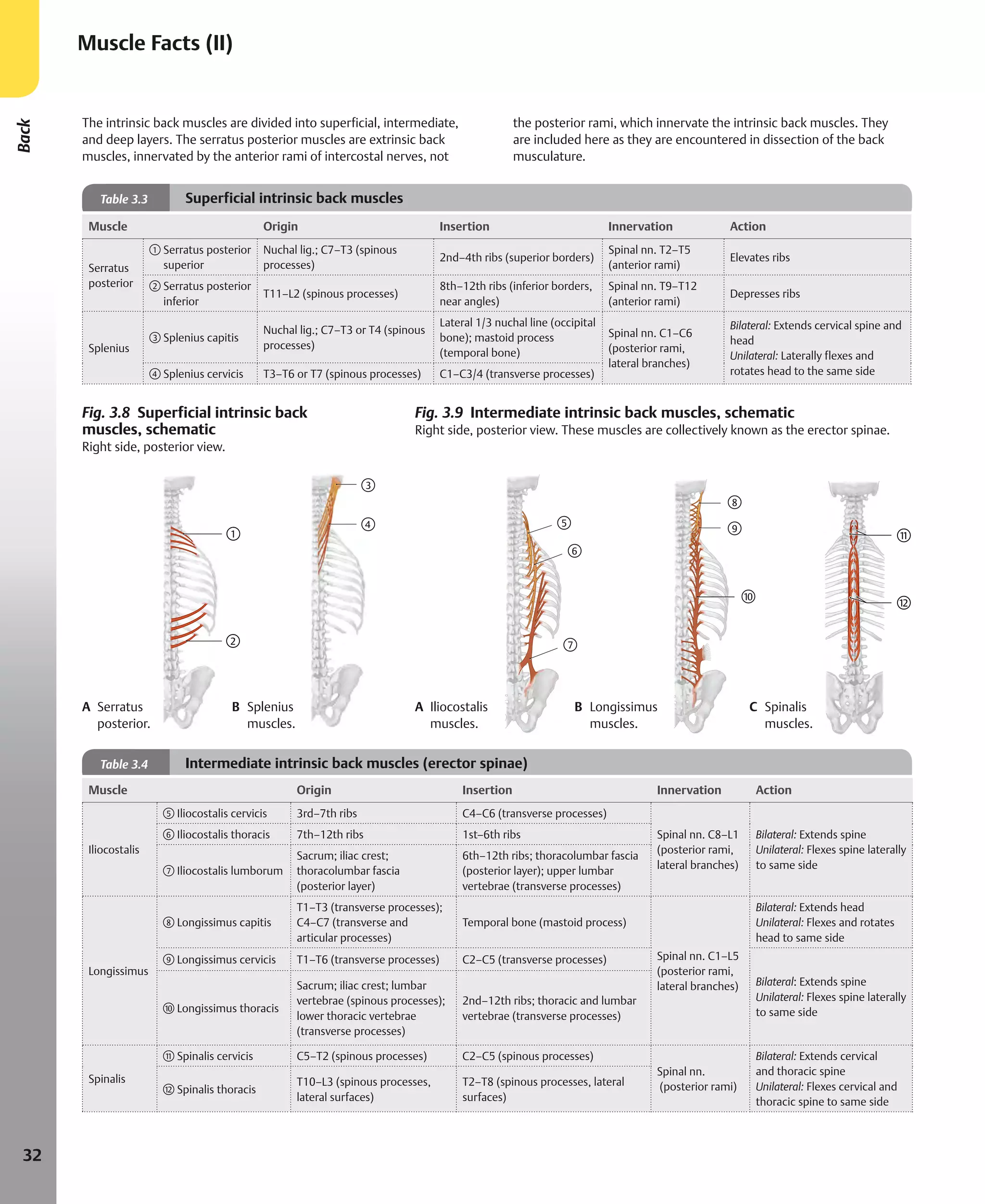 Atlas of Anatomy 4th Edition.Pdf