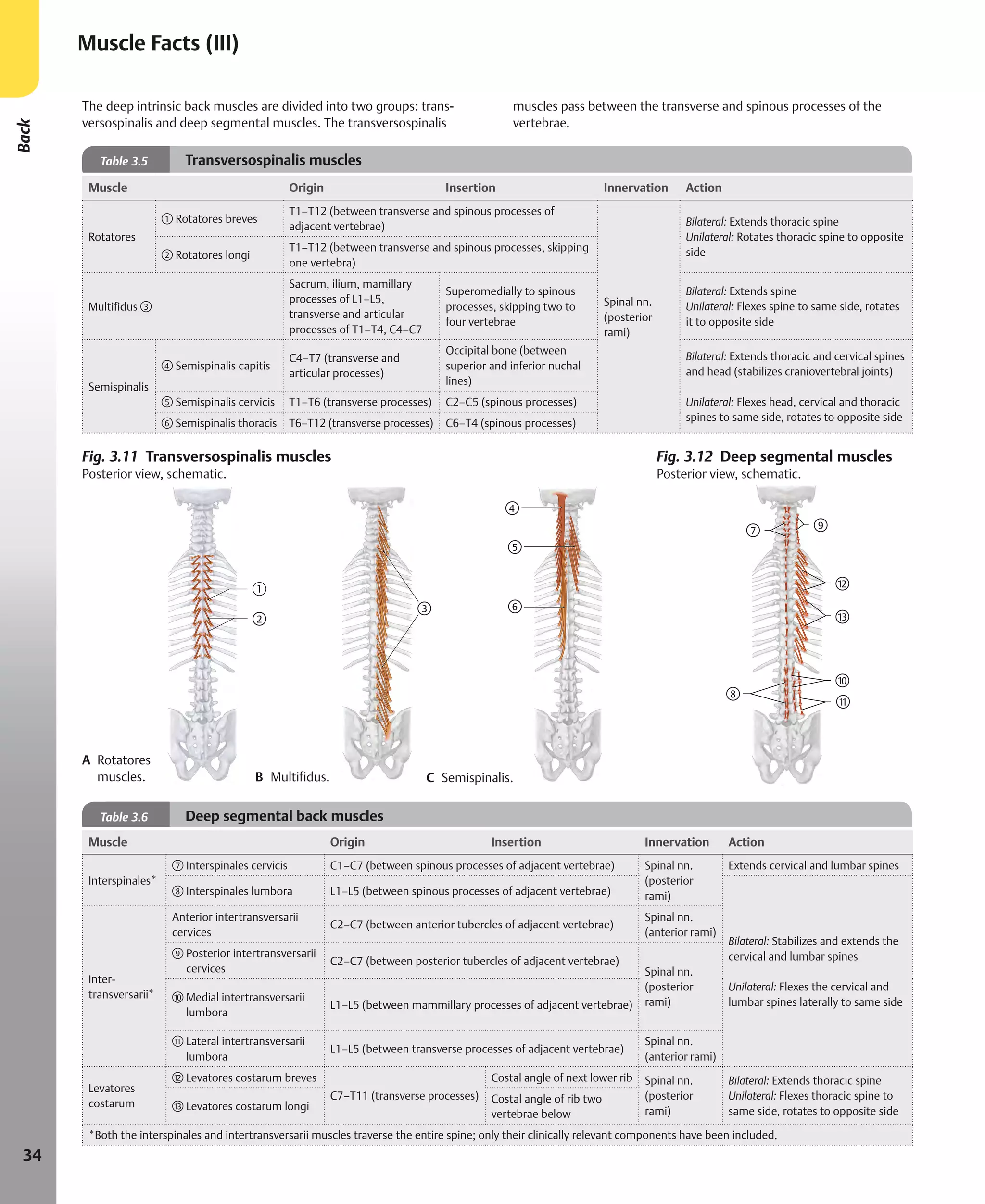Atlas of Anatomy 4th Edition.Pdf