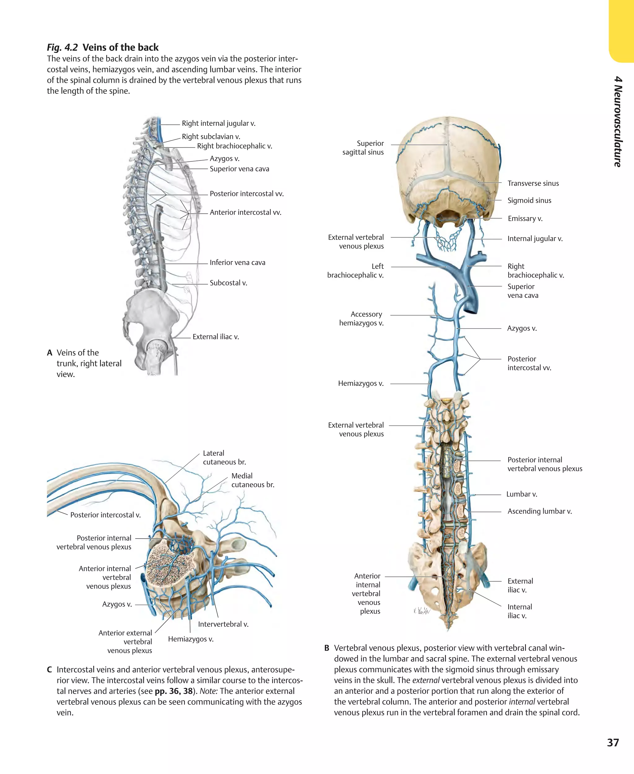 Atlas of Anatomy 4th Edition.Pdf