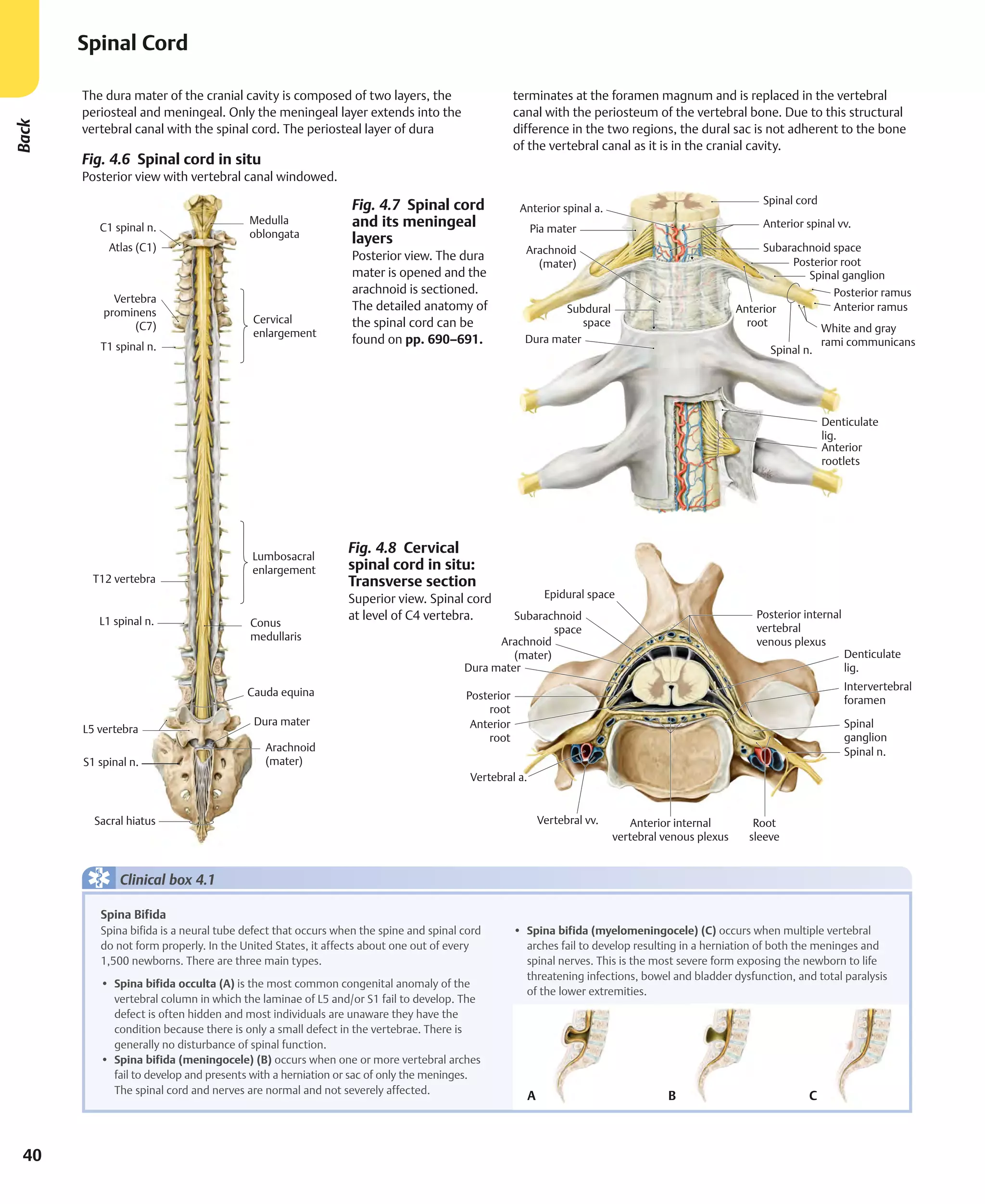Atlas of Anatomy 4th Edition.Pdf