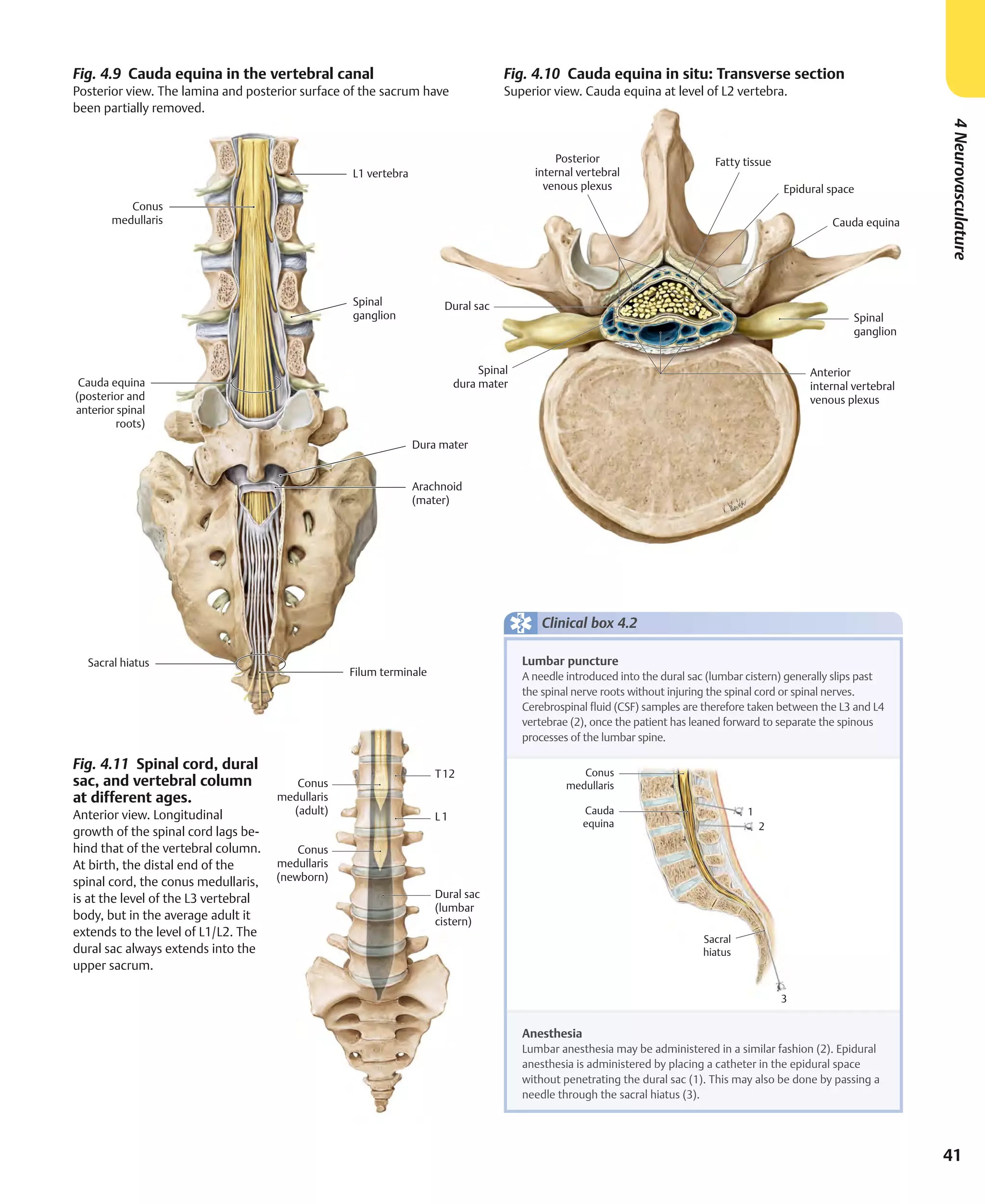 Atlas of Anatomy 4th Edition.Pdf