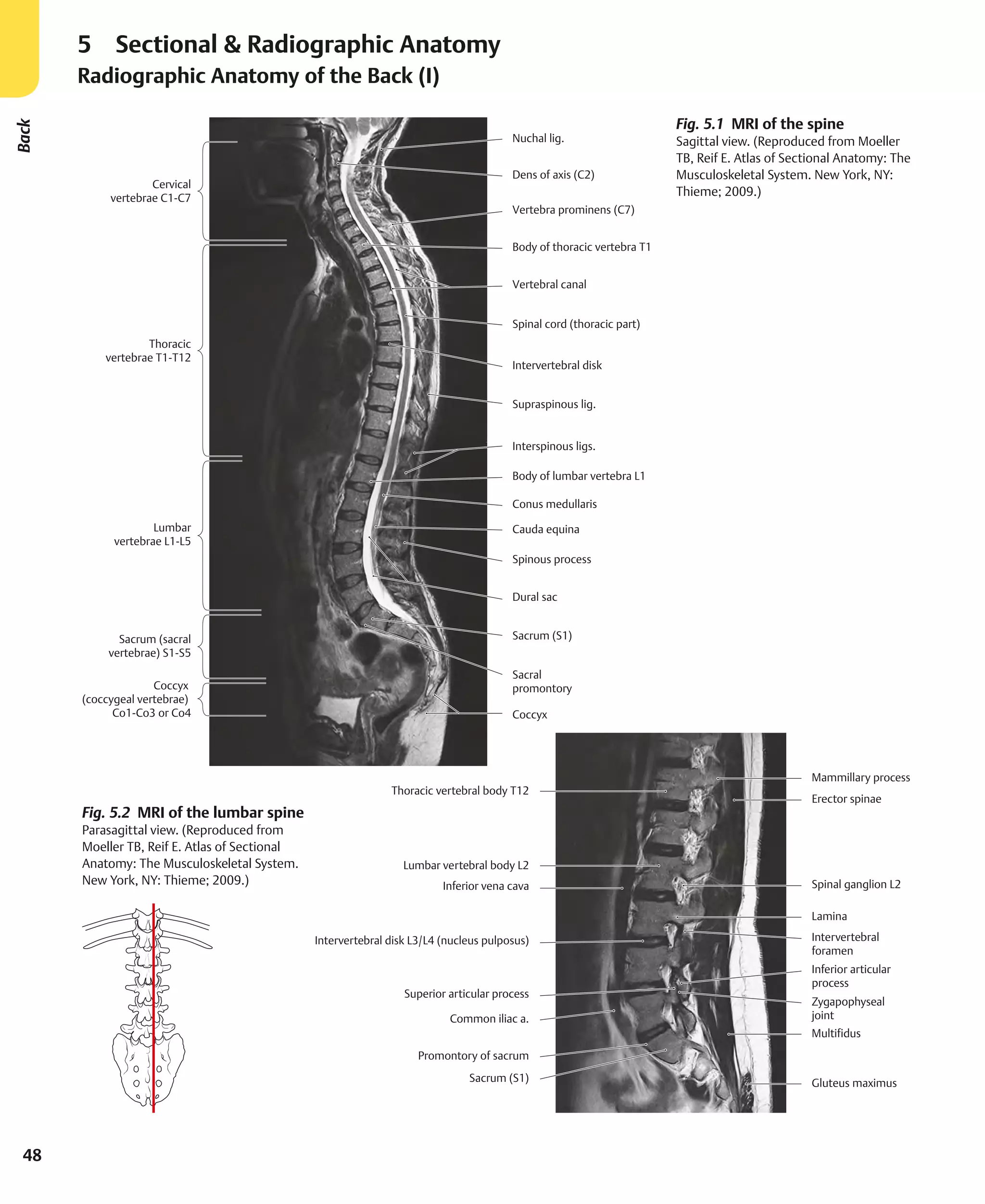 Atlas of Anatomy 4th Edition.Pdf
