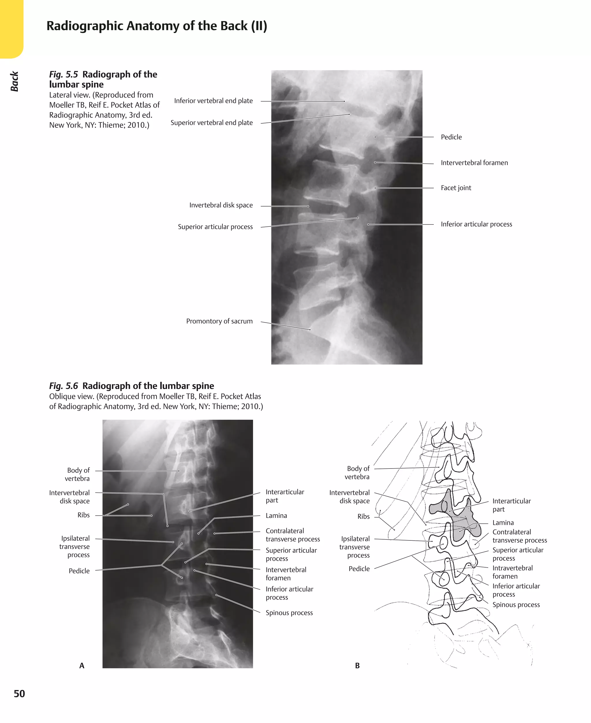 Atlas of Anatomy 4th Edition.Pdf