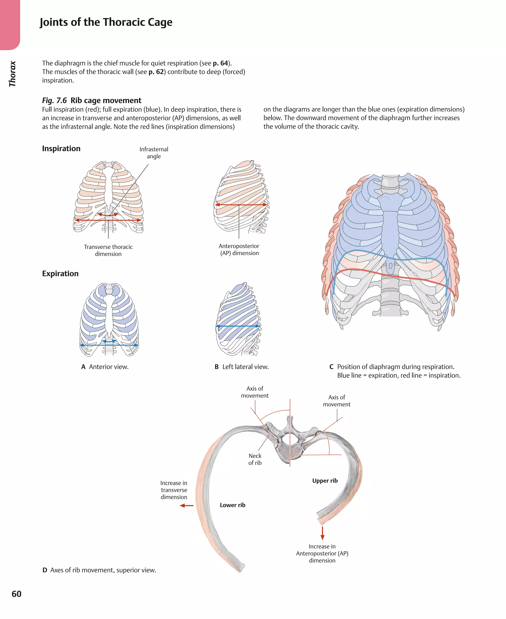 Atlas of Anatomy 4th Edition.Pdf