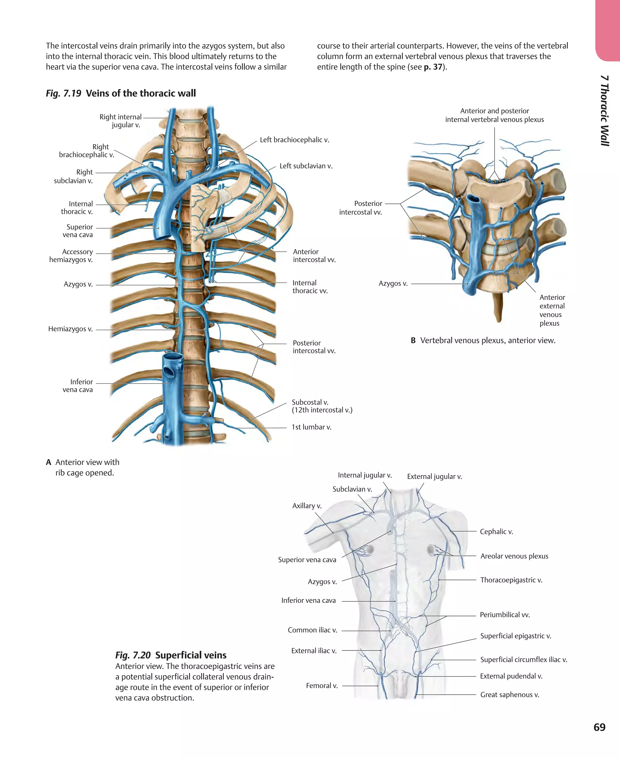 Atlas of Anatomy 4th Edition.Pdf