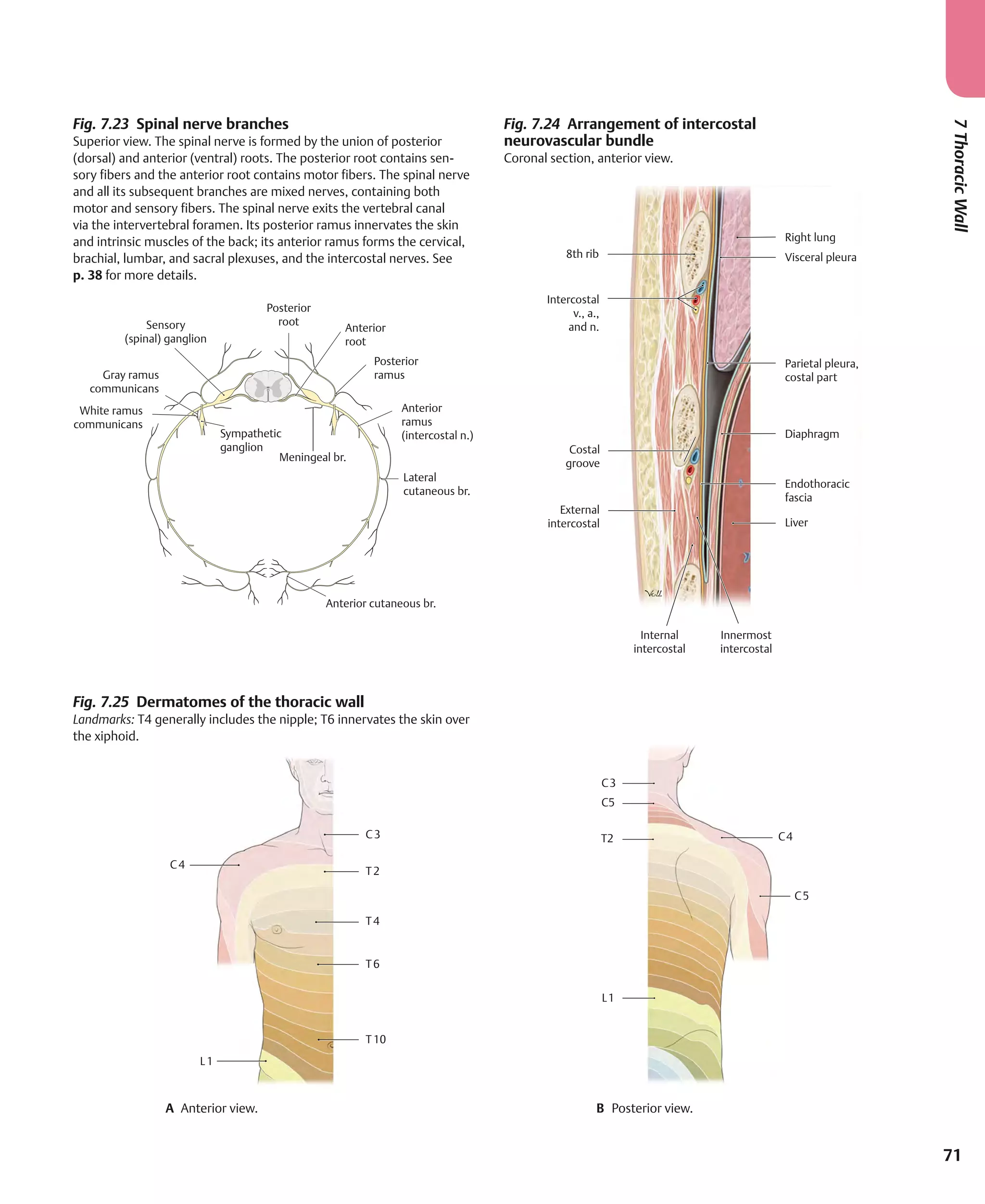 Atlas of Anatomy 4th Edition.Pdf