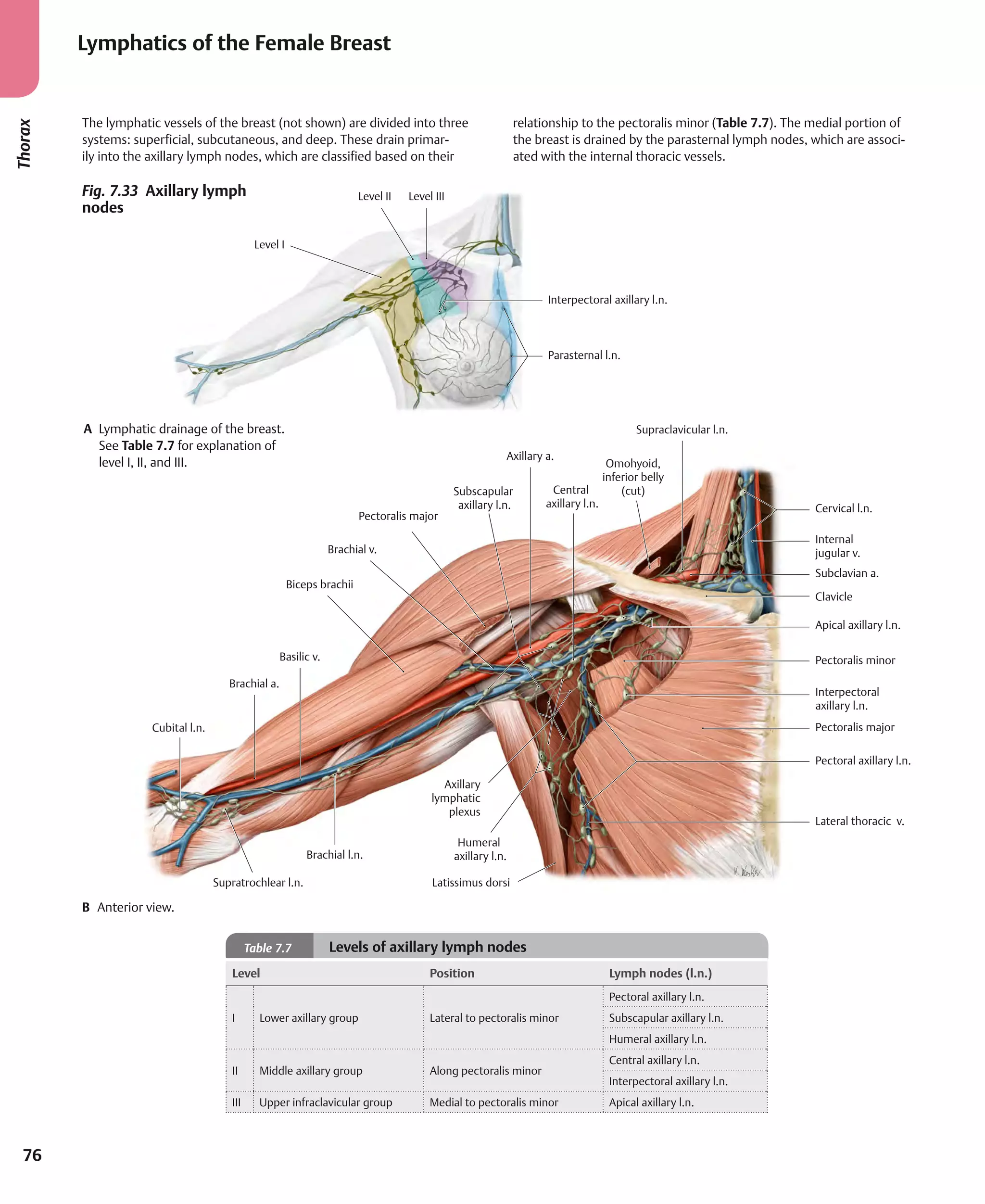 Atlas of Anatomy 4th Edition.Pdf