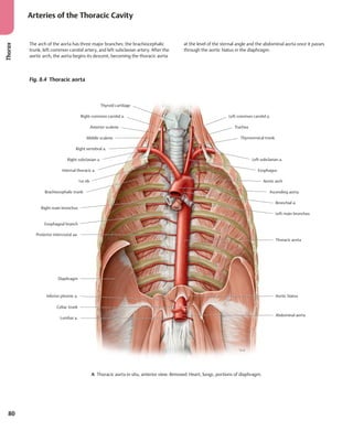 Atlas of Anatomy 4th Edition.Pdf